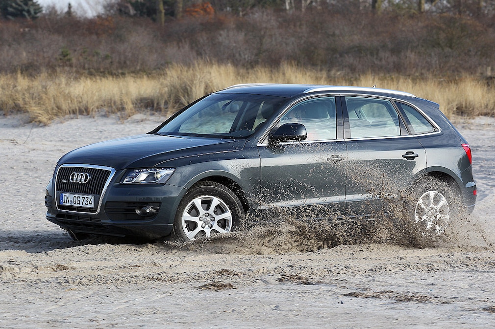 BMW X1, Nissan Qashqai, Audi Q5 & Co: Gebrauchte SUV im Test - AUTO BILD