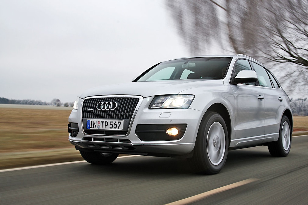 BMW X1, Nissan Qashqai, Audi Q5 & Co: Gebrauchte SUV im Test - AUTO BILD