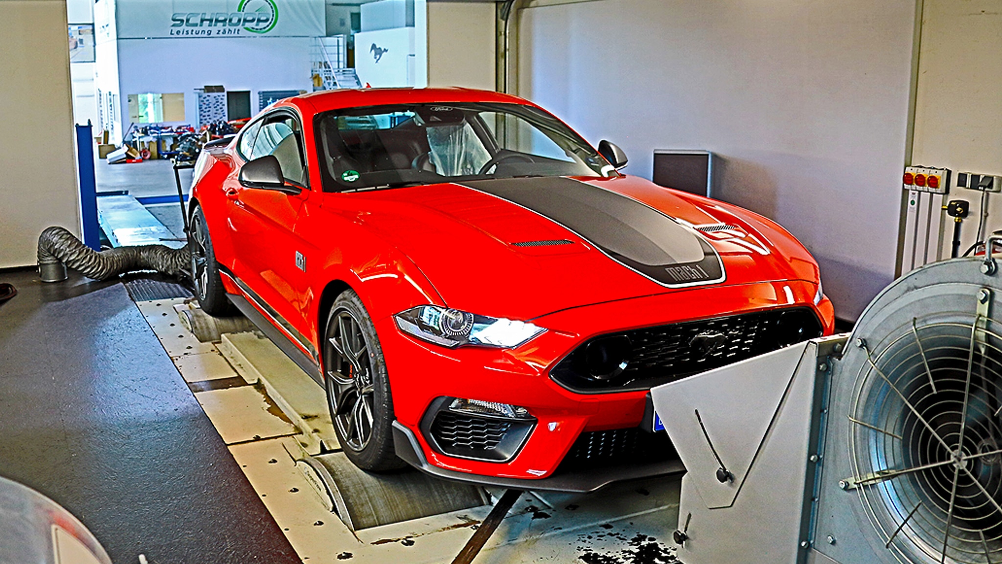 Ford Mustang Mach 1 Tuning: 700 PS und 300 km/h von Schropp - AUTO BILD