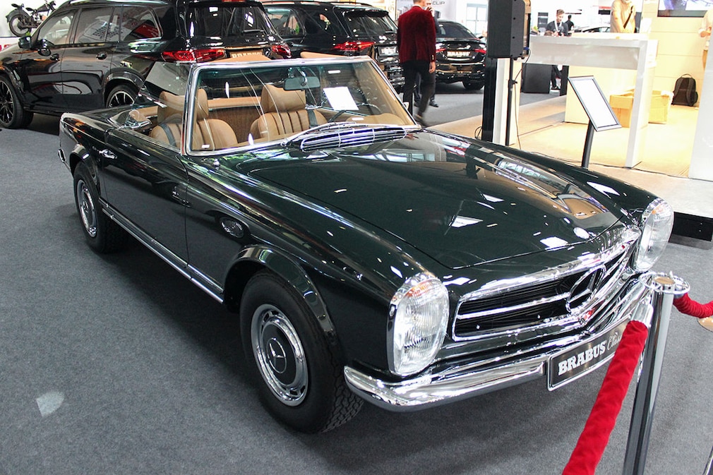 IAA 2021: Autos für Petrolheads - AUTO BILD