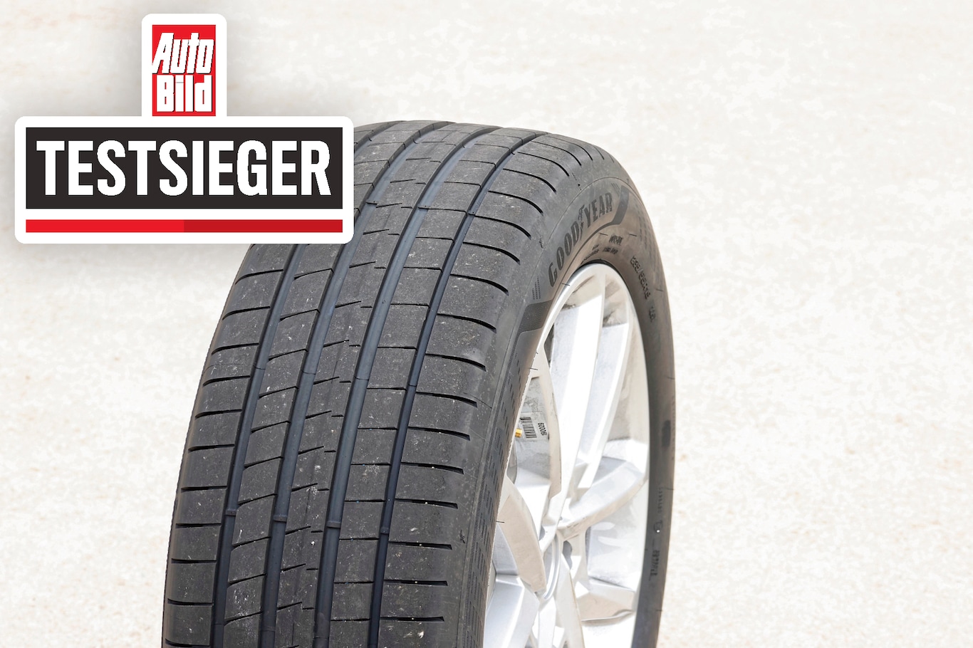 Sommerreifen 235/55 R19 im Test - AUTO BILD