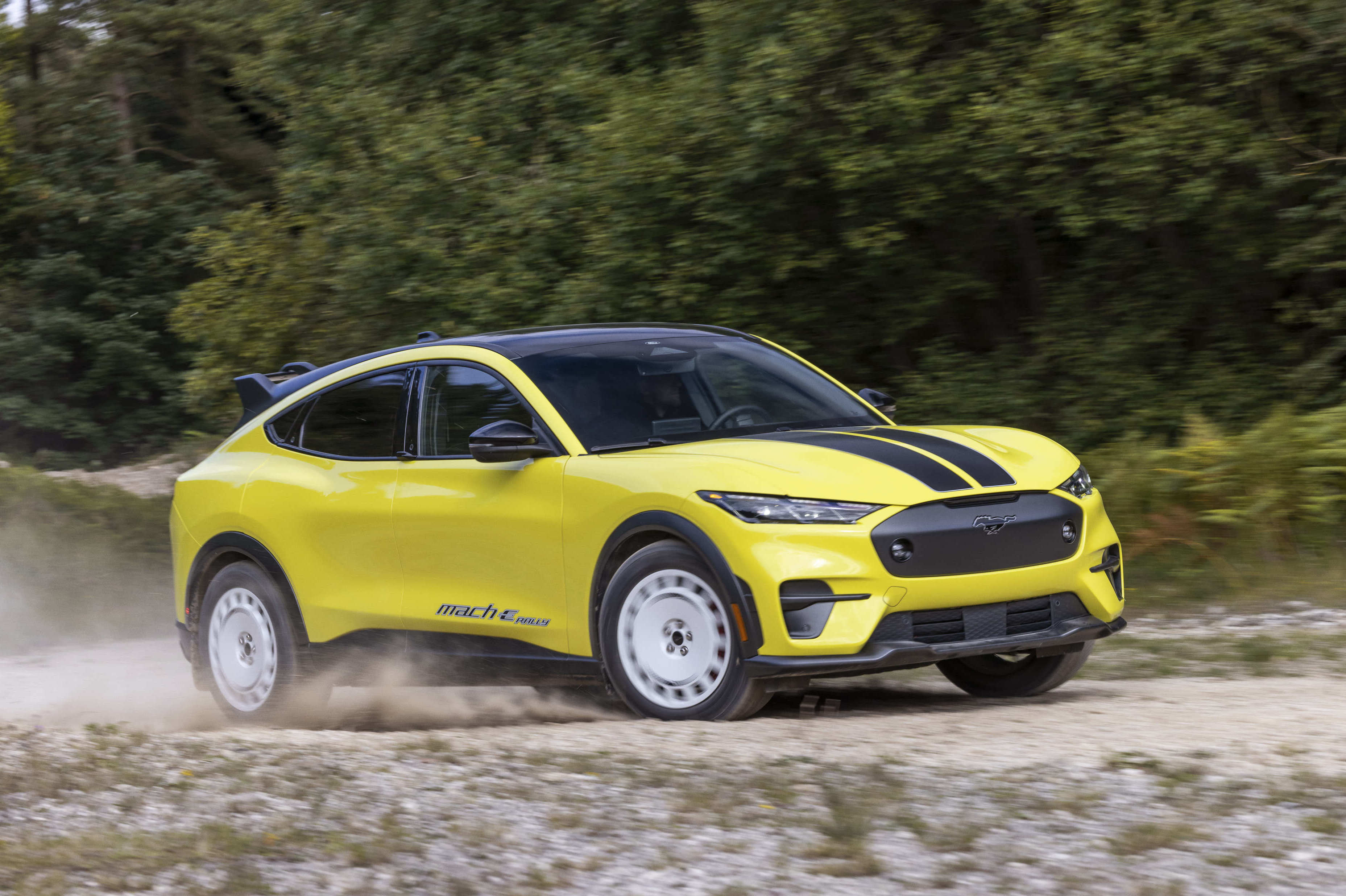 Ford Mustang Mach E 2025 alle Infos Preise und Tests AUTO BILD
