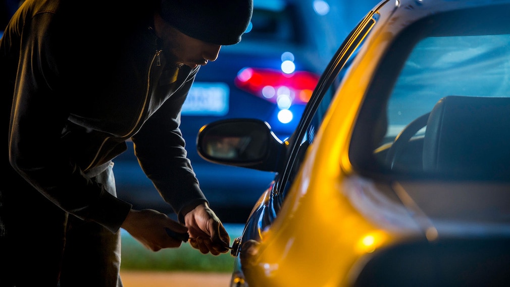 US-Statistik: E-Autos bei Dieben unbeliebter - Woran es liegt - AUTO BILD