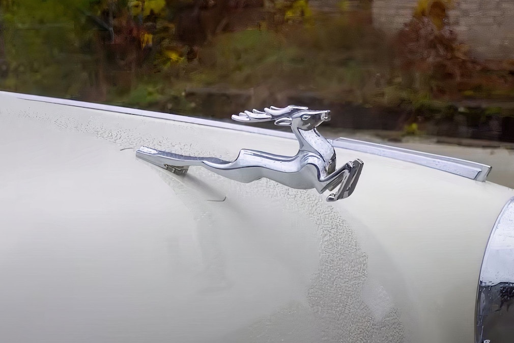 Kurioses Auto: Wolga verschmilzt mit Bugatti Chiron! - AUTO BILD