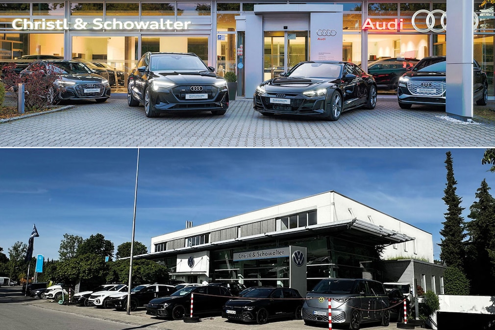 Alle Details zur Autohändler-Umfrage 2025 - AUTO BILD