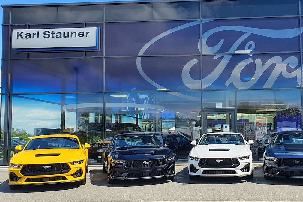 Alle Details zur Autohändler-Umfrage 2025 - AUTO BILD